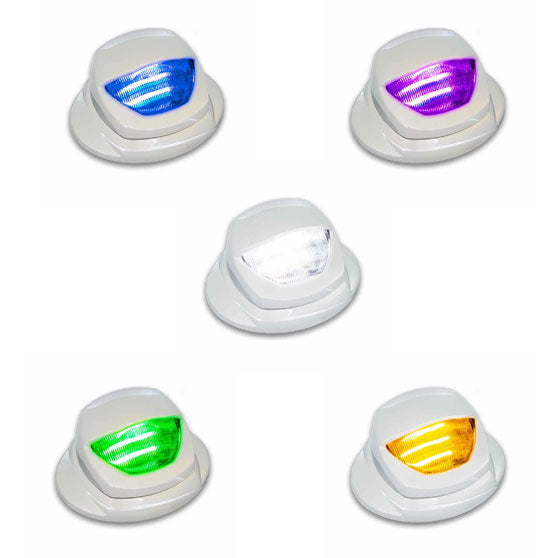 Kenworth Mini Courtesy Step LED Light With Auxiliary